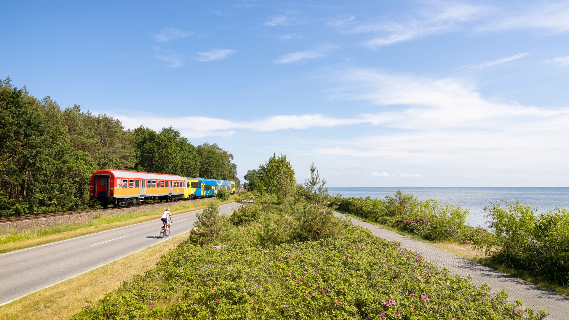 Poloostrov Hel: Tip na dovolenou u polského Baltu 2025